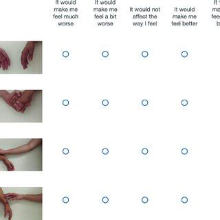 The Touch Preference Screen Shown To Participants The Types Of Touch Download Scientific