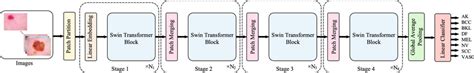 The Architecture Of The Swin Transformer Model For Skin Lesion Download Scientific Diagram
