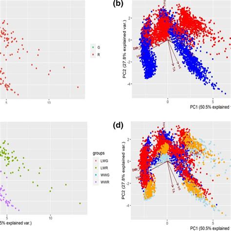 Principal Component Analysis Pca Loading Plot And Scores Of