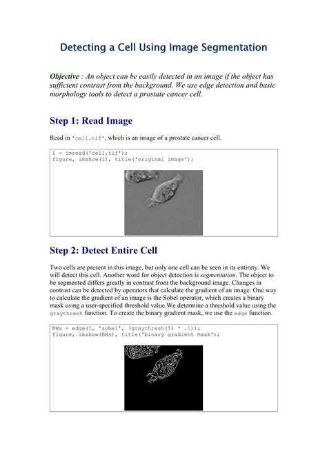 Detecting A Cell Using Image Segmentation Docslib
