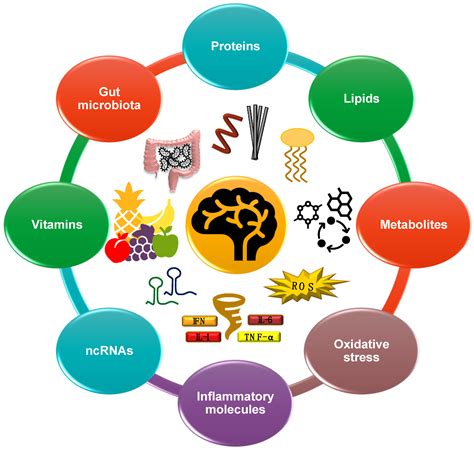 Cells Free Full Text Blood Based Biomarkers For Alzheimers Disease