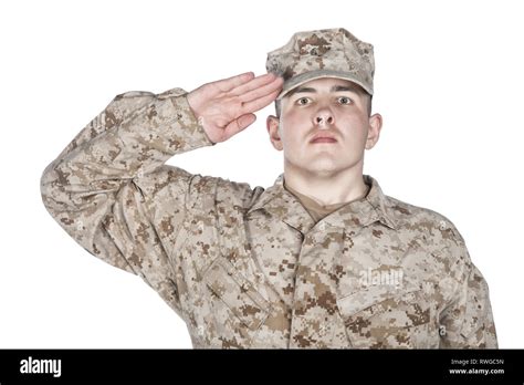 How To Hand Salute At Martha Ehrlich Blog