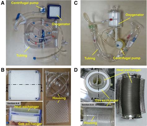 Extracorporeal Membrane Oxygenation Ecmo Circuit Components A Download Scientific Diagram