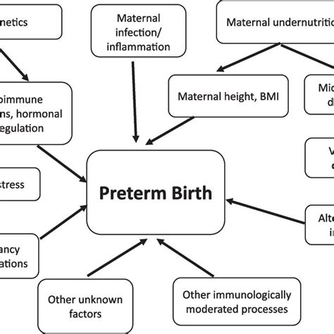 Conceptual Framework Factors Associated With Preterm Birth And The