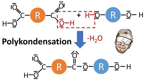 Polykondensation Polyester Polyamid Polycarbonat Chemie Endlich