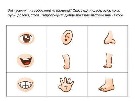 Презентація для дітей дошкільного віку Тема Частини тіла Дошкілля