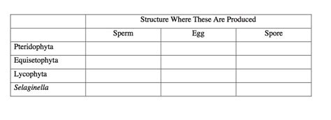 Solved Structure Where These Are Produced Sperm Egg Spore Pteridophyta