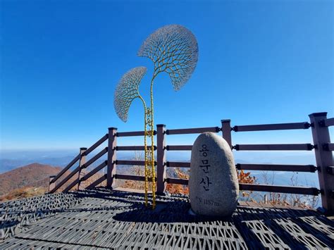 양평 용문산 최단 코스 산행용문사 주차장~ 용문사~마당바위~능선길~정상~원점회귀 네이버 블로그