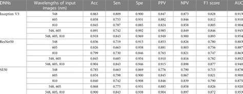 performance of the dnns trained with different input images at