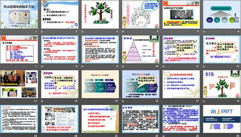 宪法是国家的根本大法参与政治生活PPT课件3 第一PPT