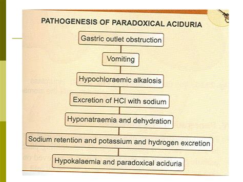 Peptic Ulcer Disease Pptx Duodenum Ulcer Ppt Free Download