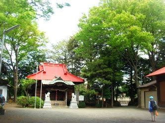 宮原寒川社 新緑のケヤキ