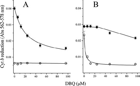 Effect Of Dbq On The Extent Of Cytochrome B Reduction The Amplitude Of Download Scientific