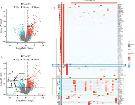 Early Onset Intrahepatic Cholangiocarcinoma Clinical Characteristics Oncological Outcomes And