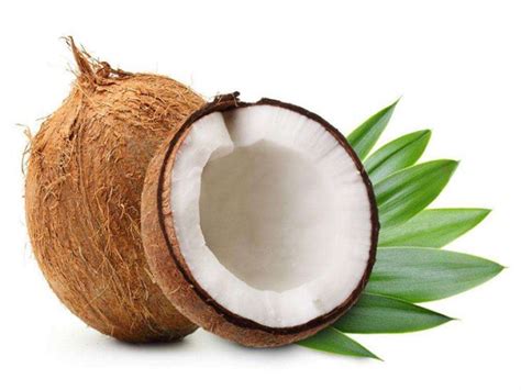 Mơ Thấy Quả Dừa Có ý Nghĩa Gì Con Số Nào May Mắn