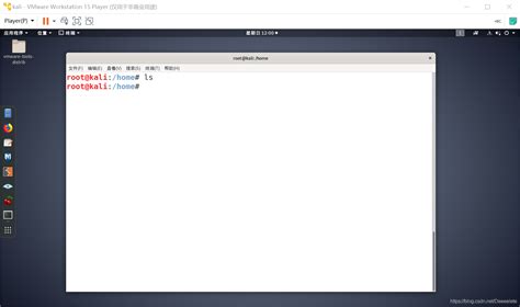 kali下nc通信 文件传输 反弹shell kali打开目标ip端口并传送文件 csdn博客