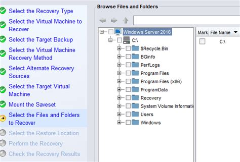 Nvp Vproxy Flr Mount Succeeds But Instantly Fails Browse Operation With Unable To Perform Flr