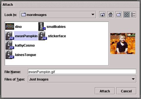 How To Use File Choosers The Java™ Tutorials Creating A Gui With Jfc