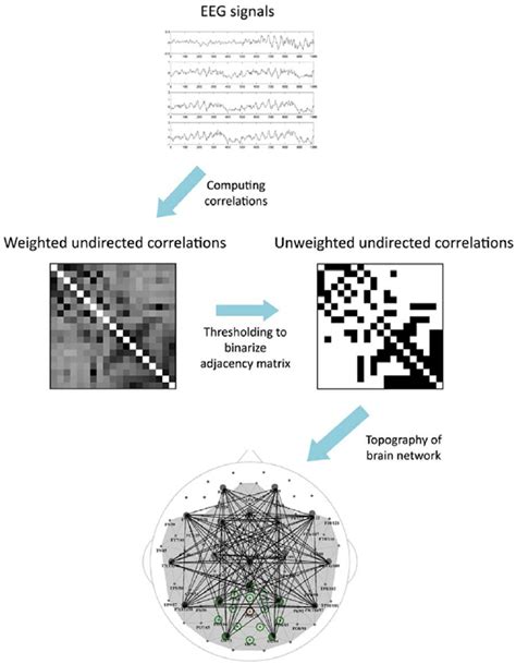 Construction Of Brain Networks From Eeg Signals The Top Plot Shows Download Scientific Diagram