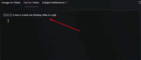 How To Use Hailuo Ai New Director Model