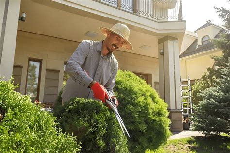 The Ultimate Tree Pruning Checklist
