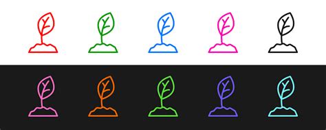 흑백 배경에 격리 된 세트 새싹 아이콘 종묘와 묘목 나뭇잎 기호 잎 자연 벡터 0명에 대한 스톡 벡터 아트 및 기타 이미지 0명 개념 검은색 Istock