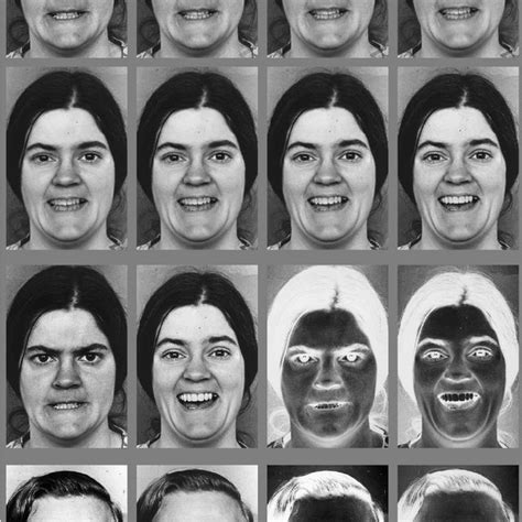 examples of the images used the first two rows contain images from the