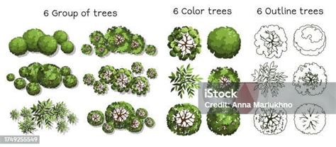 건축 평면도를위한 나무 측근 디자인 다양한 나무 관목 및 관목 조경 디자인 계획의 상면보기 벡터 일러스트레이션 나무에 대한 스톡 벡터 아트 및 기타 이미지 Istock