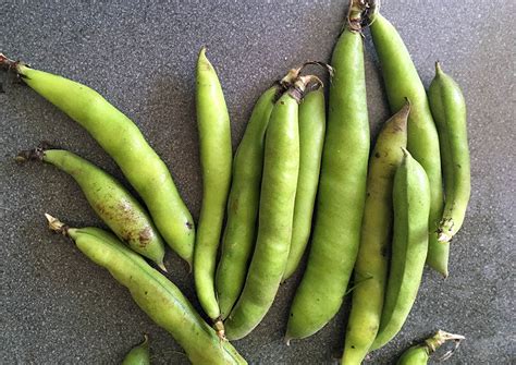 How To Prepare And Cook Broad Beans Sneaky Veg