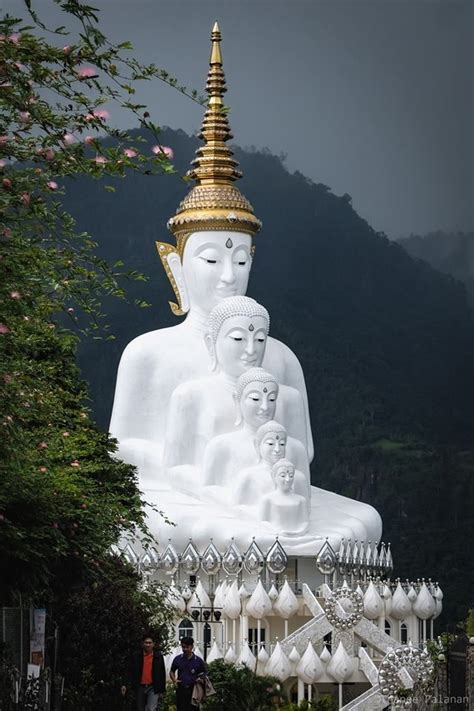 พระพุทธเจ้า 5 พระองค์ วัดพระธาตุผาซ่อนแก้ว อ เขาค้อ จ เพชรบูรณ์ 5 Lord Buddha Phra That Pha