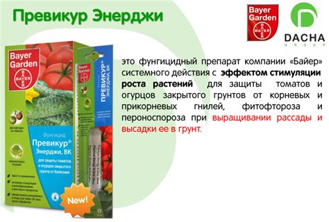 Фунгициды для томатов