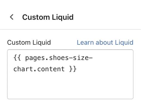 Output Page Content Anywhere On Your Shopify Store Using Custom Liquid