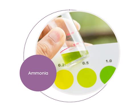 Ammonia Mediscan Lab