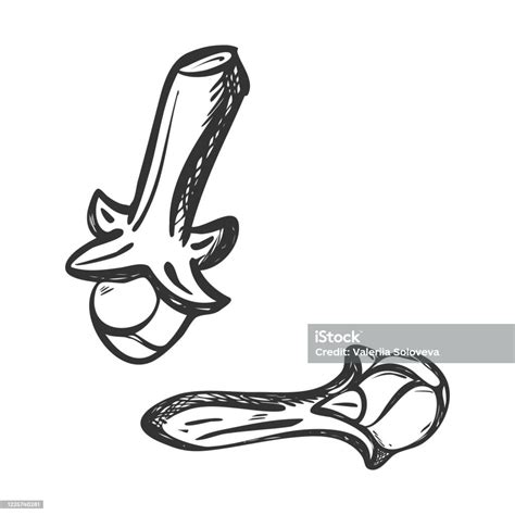 정향 씨앗 요리와 음식과 음료 멀드 와인을 장식하기위한 매운 조미료 낙서 스타일의 정향 곡물 손으로 그린 흰색 배경에 격리 흑백 벡터입니다 건강한 식생활에 대한 스톡 벡터