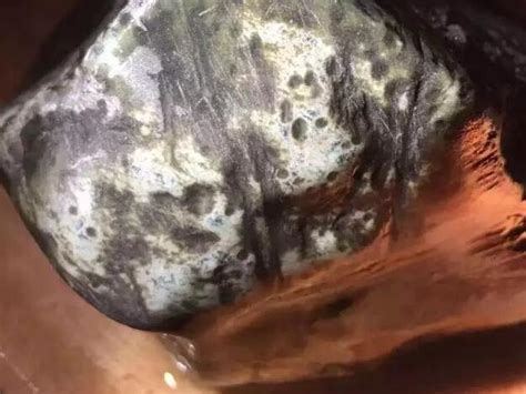 翡翠赌石中白莽是什么样的