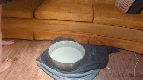 Fifi Gets Stuck Sinking Her Bare Feet Into Ankle Deep Corn Starch Oobleck FifisFootFantasies