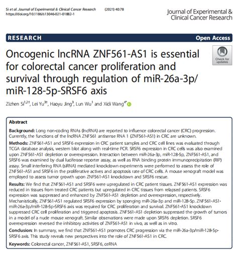 可研文章精读：致癌基因lncrna Znf561 As1通过调节mir 26a 3pmir 128 5p Srsf6轴对大肠癌的增殖和存活至