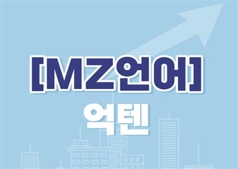 억텐 찐텐 억까 억빠 뜻 의미 [mz언어]