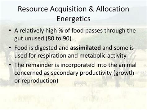 Ppt Resource Acquisition And Allocation Optimal Foraging Theory