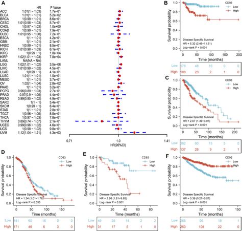 Cd93 Correlates With Immune Infiltration And Impacts Patient Immunotherapy Efficacy A Pan