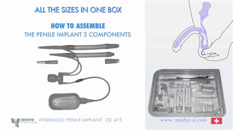 ZSI Implant Penisa YouTube