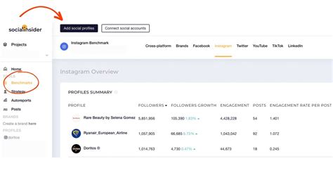 Understanding The Instagram Reel Algorithm Socialinsider