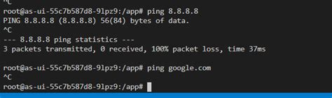 Kubernetes Pod Cant Ping To Any Public Ip And Even 8888 Not Able To Connect To Out Side