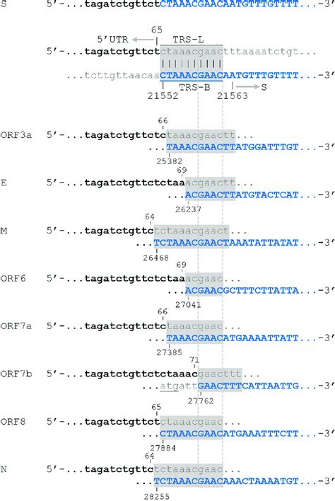 Consensus Sequence Cs Alignment Between Transcription Regulator Consensus Sequence Cs Alignment Between Transcription Regulator
