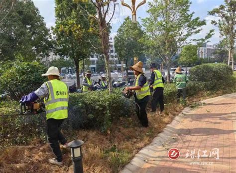 陆良县加大绿美城市建设力度 推进绿美街道建设 曲靖珠江网