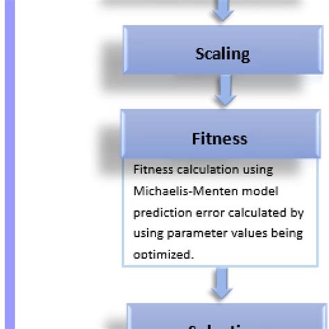 Calculation Diagram Of Genetic Algorithm For Model Parameter