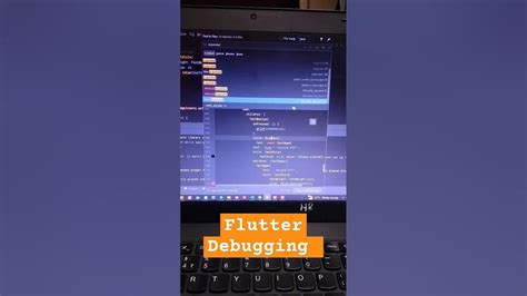Flutter App Debugging Techniques Webdevelopment Codewithcode Flutter Punjabisong Youtube