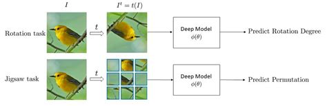 Self Supervised Learning Of Pretext Invariant Representations Statwiki