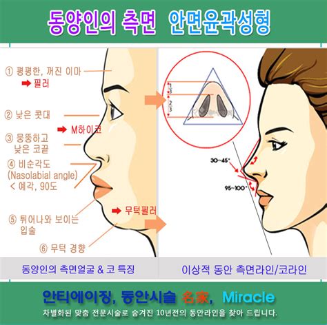 5 M하이코 미라클 피부미용센터