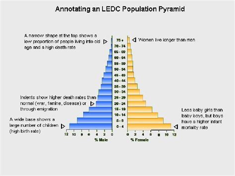 Population Pyramids Population Pyramid Or Agesex Ratio 1931
